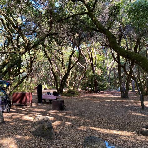 Henry Cowell Redwoods State Park Campground Mount Hermon California