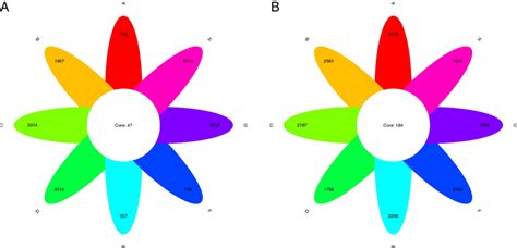 Petal Plot Based On Otus A Bacterial B Eukaryotic Different
