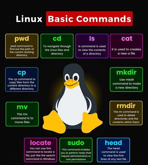 Exlearn Training On Linux Commands Shreedhar Sutar Posted On The Topic Linkedin