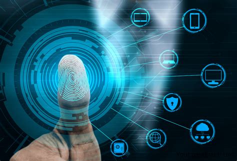 Beyond Passwords The Future Of Personal Security With Biometrics