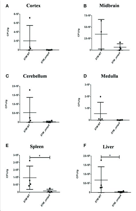 Role Of Ompa In Brain Invasion Cfu Burden In A Cortex B Download Scientific Diagram