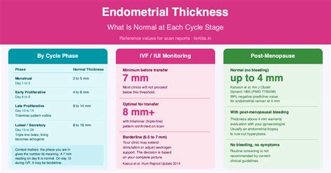 Endometrial Thickness Trilaminar Pattern And Normal Ranges
