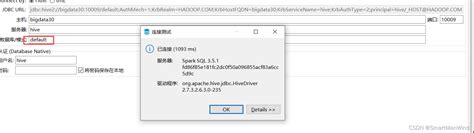 Kyuubi、sparksql部署实战与连接kyuubi Spark Csdn博客