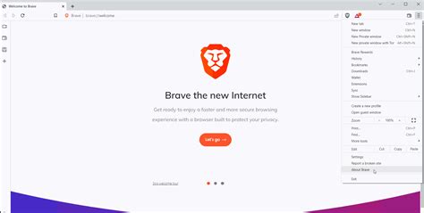 Instant Crash When Opening `braveadblock` In A Private Window · Issue 24086 · Bravebrave
