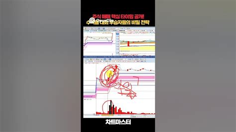 주식 매매 타이밍 수익률 대회 우승자들의 비밀 전략 공개 주식차트교육 주식교육 주식투자의신 트레이딩교육 매수타점기다리기 주린이공부 Youtube