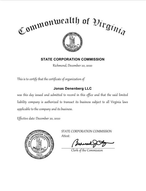 I Made An Llc Jonas Denenberg