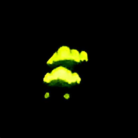 British Glow Worm Film By Uk Nature Gifts Uk Nature Gifts