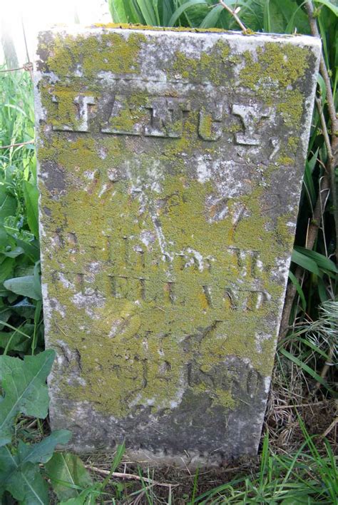 Nancy Carruthers Mcclelland 1777 1850 Find A Grave Memorial