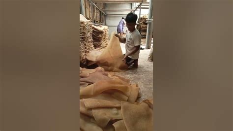 ဒါဟာ ဘဝ Youtube