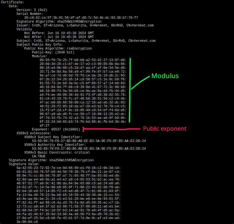 Simplified Explanation Of How Rsa Message Encryption Decryption Works Hereket