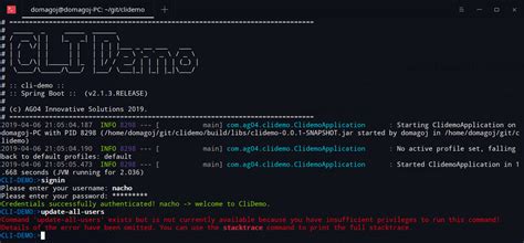 Developing Cli Application With Spring Shell Part 5 Notch