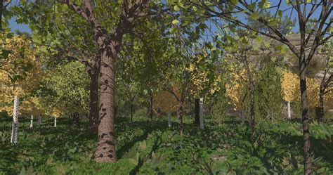 GitHub Callumnewlands ForestGenerator An Application For Generating And Rendering Realistic