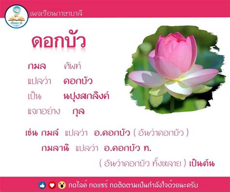 Healthy Radish Recipes