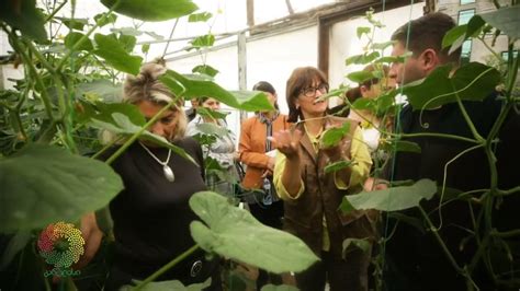 ბოლნისის მუნიციპალიტეტში სასერტიფიკატო კურსი “კლიმატის ცვლილების