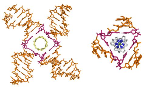 Simulating Dna And Its Interactions With Metal Compounds Birmingham