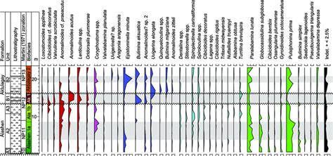 Relative Abundance Patterns Of Benthic Foraminifera Through The