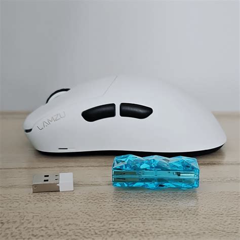 My First Venture Into Mice World Lamzu Thorn Rmousereview