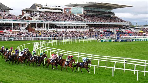 Aintree Grand National Racegoers Urged To Plan For Event Bbc News