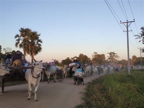 Dvb စစ်ကိုင်းတိုင်းအတွင်း ရက်စက်မှုအပေါင်း သရဖူဆောင်းခဲ့သည့် စစ်တပ်နှင့် စစ်ခေါင်းဆောင်တို့