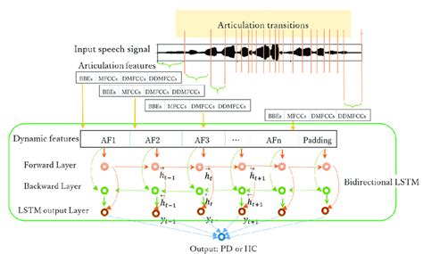 architecture of the bidirectional lstms model using dynamic speech