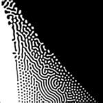 Turing Pattern Morpheus