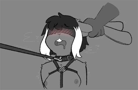 Just A Cat On Twitter Such A Toy Https T Co GktD SjQJG Twitter