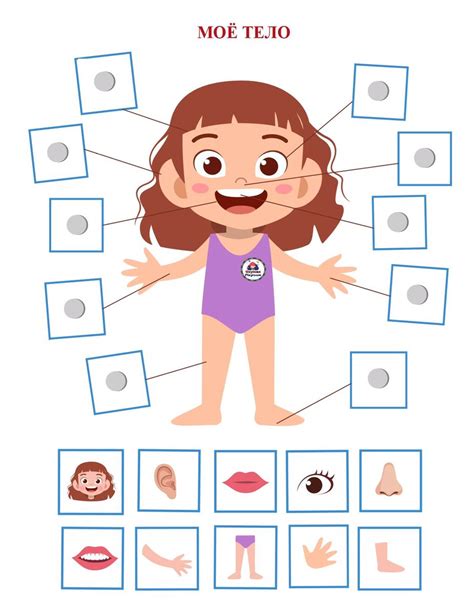 Pin De 🦋darina🦋 En Развивающие Actividades Para Niños Preescolar Actividades De Aprendizaje