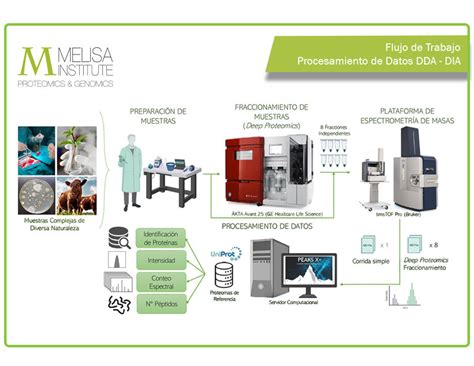 Bottom Up Proteomics DDA Massive Method