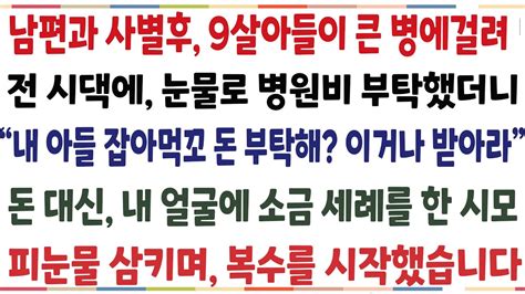 반전신청사연남편과 사별후 힘들게 살더 어느날 아들이 큰병에걸려 전시댁에 눈물로 병원비 부탁하니 너한테 줄돈 없다 대신 이거나 받아라 소금을 신청사연 사이다썰 사연