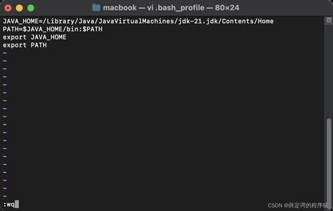 mac配置java环境变量 csdn博客