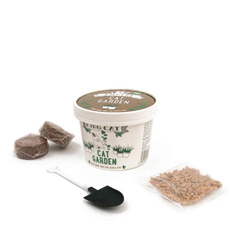 King Catnip Grass Kit 12g