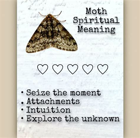 Moth Proof Meaning At Mary Settle Blog
