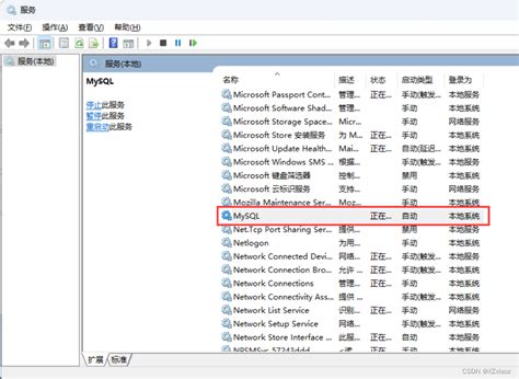 MySQL数据库忘记密码怎么办不要慌带你轻松解决 mysql忘记密码 CSDN博客