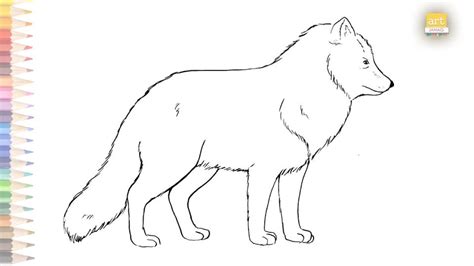 25 Easy Arctic Fox Drawing Ideas How To Draw