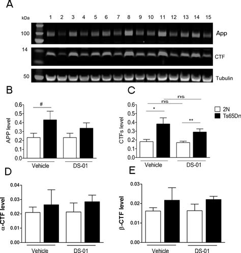 Vaccination Had No Significant Effect On The Levels Of App Or Ctfs A