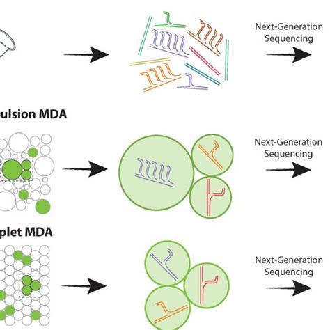 Pdf Enhanced Sequencing Coverage With Digital Droplet Multiple