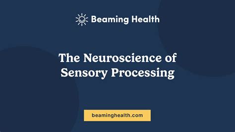 Sensory Processing And Early Intervention A Comprehensive Guide