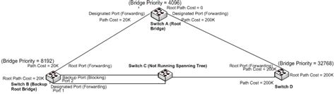 Understanding The Spanning Tree Protocols EtherWAN