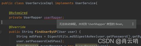 Springboot项目mapper无法自动装配，未找到 ‘usermapper‘ 类型的 Bean解决办法（含报错原因）无法自动装配。找不