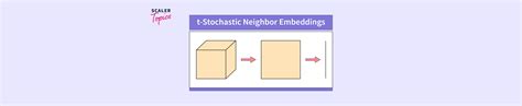 T Stochastic Neighbor Embeddings T Sne In Machine Learning Scaler Topics