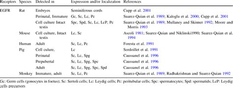 Localization Of Egfr Receptors In The Mammalian Testis Download Table