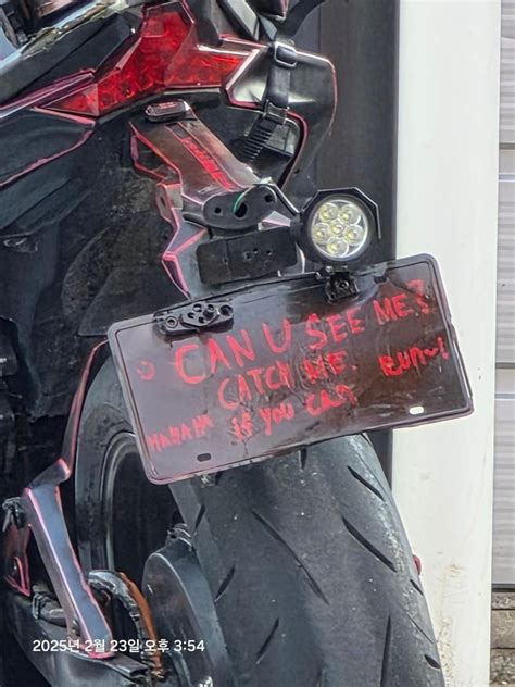 캐치 미 이프 유 캔