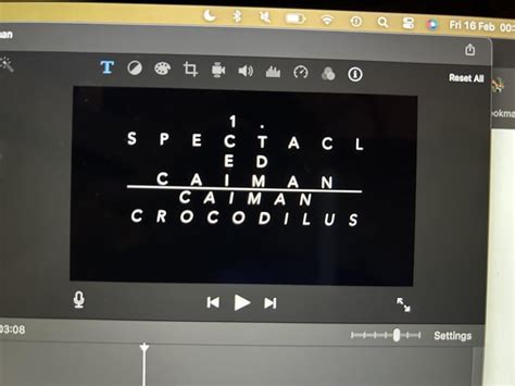 How To Prevent Word Split Rimovie