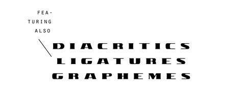 Ascardi Sans Display Typeface