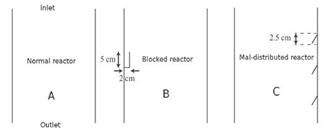 Geometry Of The Modeled Trickle Bed Reactors With A Normal Flow Plug