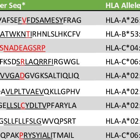 Neoantigens Included In The Neoantigen DNA Vaccine Download Scientific Diagram