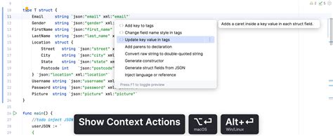 Working With JSON GoLand Documentation