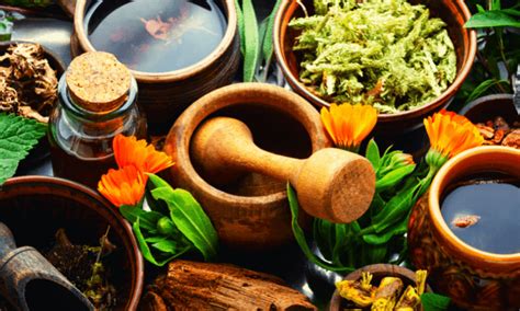 Las Plantas Medicinales De La Amazonia Peruana