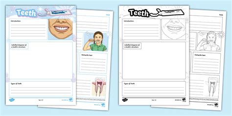 Teeth Non Chronological Report Template