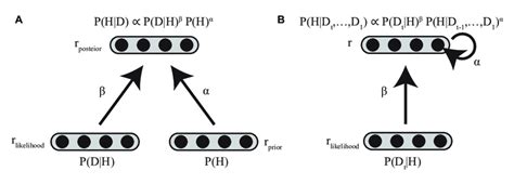 Neural Implementation Of Biased Bayesian Inference A Feed Forward